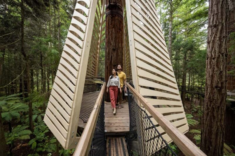 Rotorua: Redwoods Altitude, Nighttime Fast Pass, & Treewalk - Key Points