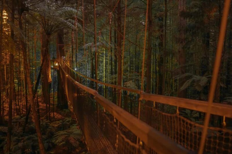 Rotorua: Redwoods Altitude, Nighttime Fast Pass, & Treewalk - FAQs