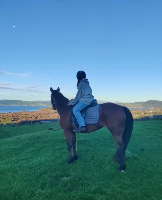 Rotorua: Scenic Horse Trek - What to Expect on Your Rotorua Horse Trek
