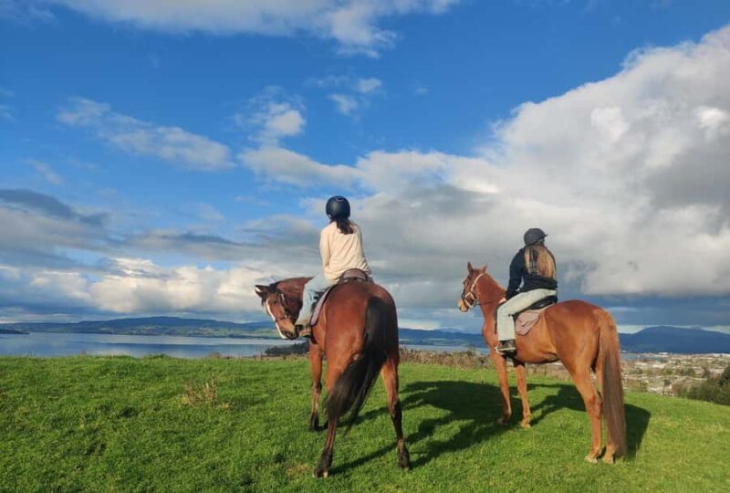 Rotorua: Scenic Horse Trek - Authentic Insights from Reviews
