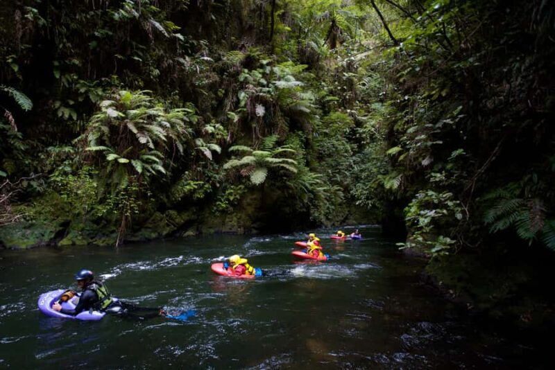 Rotorua Sledging: Kaituna White Water River Board Experience - Key Points  