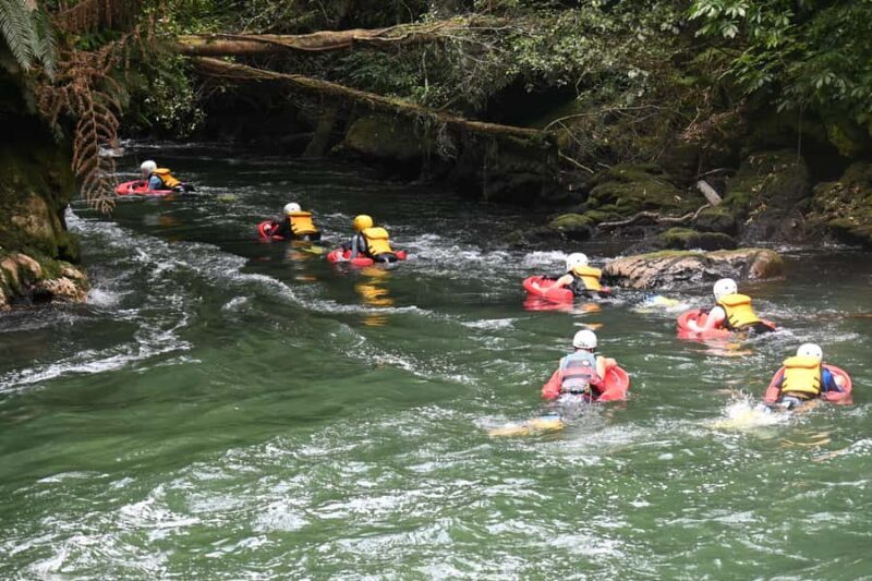 Rotorua Sledging: Kaituna White Water River Board Experience - In The Sum Up