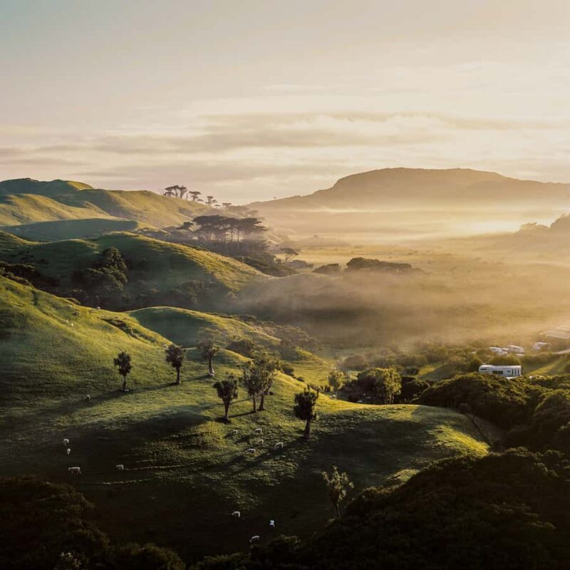 Rotorua & Taupo:Wai-O-Tapu, Redwood Walk & Hukka falls Tour - Key Points