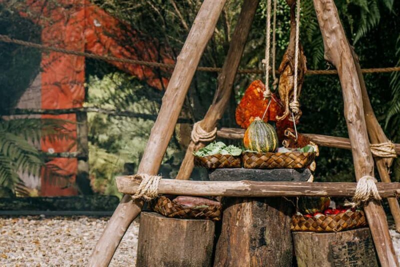 Rotorua: Te Pa Tu Mori Cultural Experience with Dinner - The Forest Amphitheater Setting