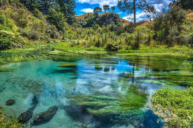 Rotorua Te Puia and Blue Springs Day Tour - Authentic Insights from Other Travelers