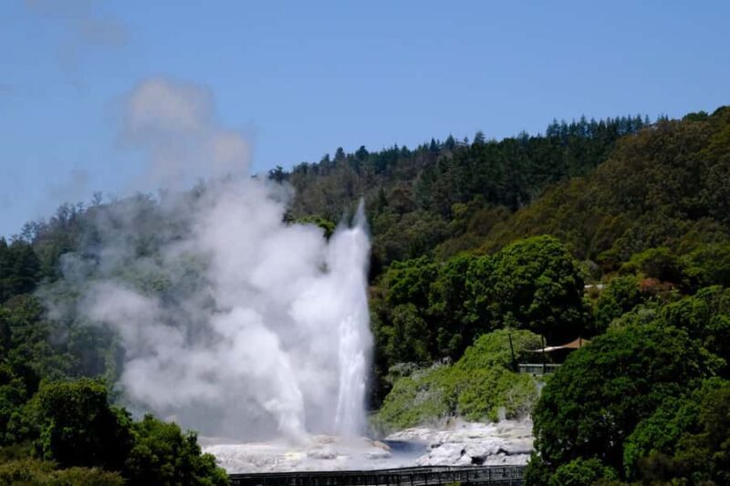 Rotorua: Te Puia Maori Village and Rejuvenation Tour - Key Points