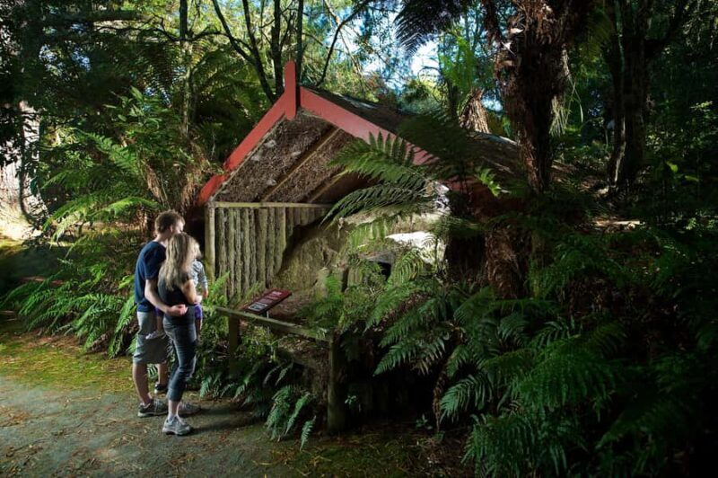 Rotorua: The Buried Village of Te Wairoa - A Complete Look at the Experience