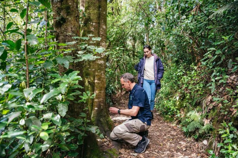 Rotorua: 'Thermal Path Tour' Geothermal half day Tour - Exploring Rotorua’s Hidden Geothermal Treasures