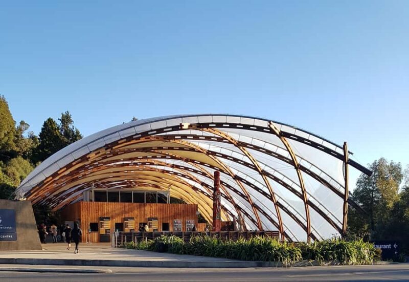 Rotorua to Auckland - Afternoon Transfer with Waitomo Caves - The Waitomo Caves Experience