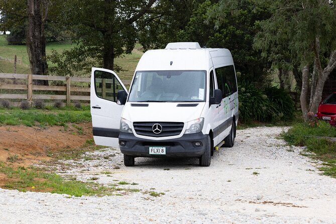 Rotorua to Auckland Afternoon Transfer with Waitomo Glow Worms - Key Points