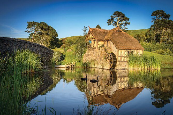 Rotorua to Auckland via Hobbiton Tour with Lunch - One Way - Authentic Insights from Reviews