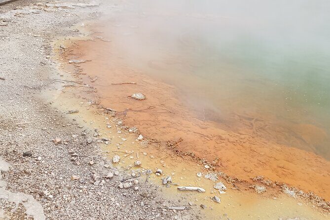 Rotorua to Wai-o-Tapu Thermal Wonderland Shuttle - Who Is This Tour Best For?