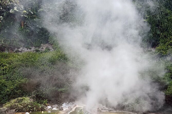 Rotorua to Waimangu Volcanic Valley Morning Shuttle - Journey Through the Volcanic Landscape