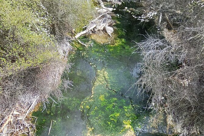 Rotorua to Waimangu Volcanic Valley Morning Shuttle - Returning to Rotorua