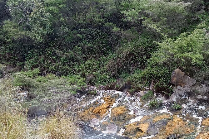 Rotorua to Waimangu Volcanic Valley Morning Shuttle - Final Thoughts: Is It Worth It?