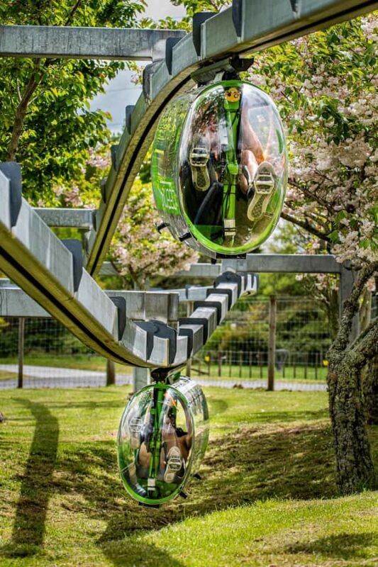 Rotorua: Velocity Valley - Four Ride Pass - The Experience Breakdown