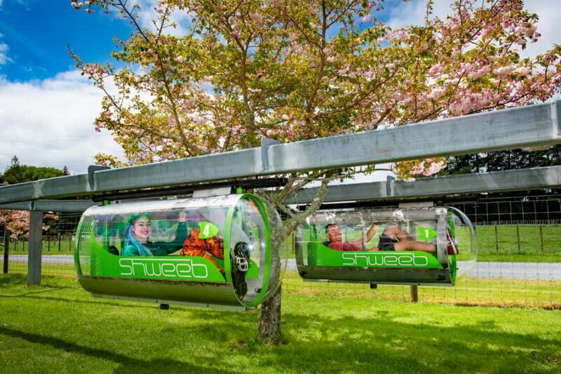 Rotorua: Velocity Valley - One Ride Pass - Introduction