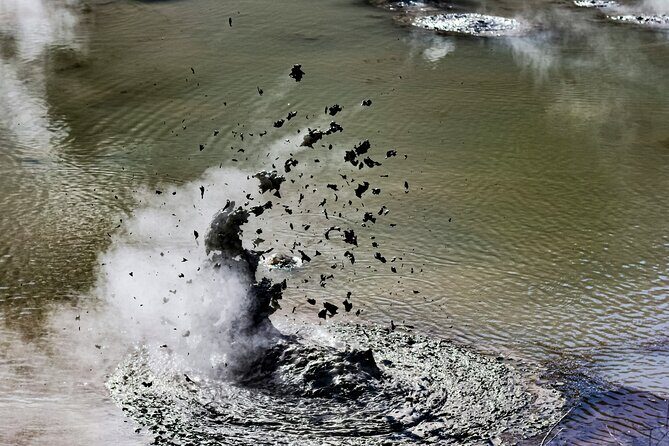 Rotorua Wai O Tapu and Secret Spot Hot Tubs - How This Tour Brings Rotorua to Life