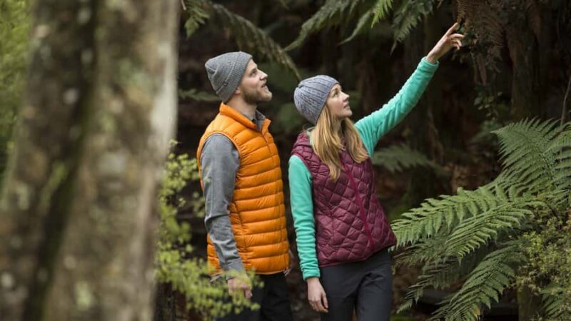 Rotorua: Waimangu Volcanic Valley Entry Ticket - Introduction