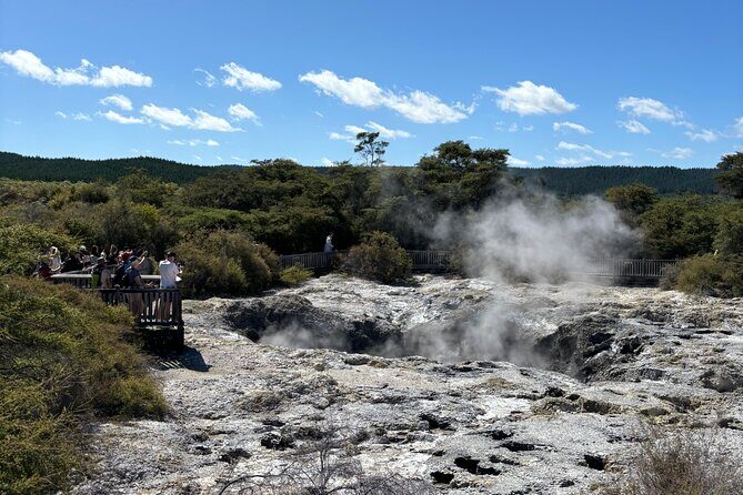 Rotorua: WaiOtapu & Redwood forest & Blues springs from Auckland - Rotorua Town — A Mix of Culture and Relaxation