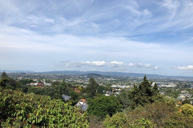 Rotorua & Waitomo caves day tours from Auckland - FAQ