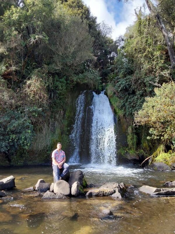 Rotorua (:) Whirinaki Forest Day & Night Walking With Us - Night Walk: Experiencing the Forest After Dark