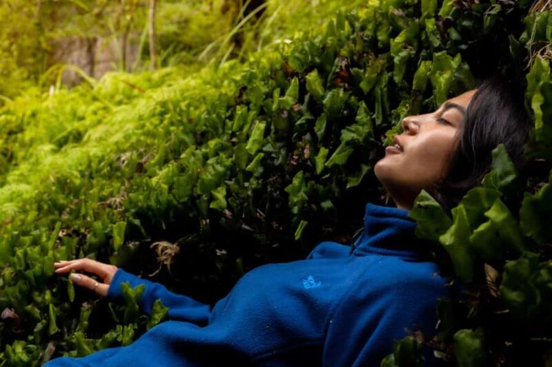 Rotorua: Whirinaki Forest Guided Tour with Spa Entry - Picnic Lunch & Reflection