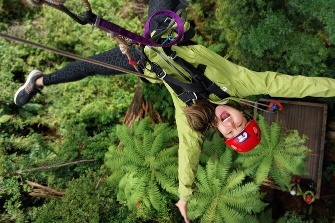 Rotoruas Ultimate Zipline: 6 ziplines, 400 m Tandem, Cliff Walk - What to Expect on the Rotorua Ultimate Zipline Tour