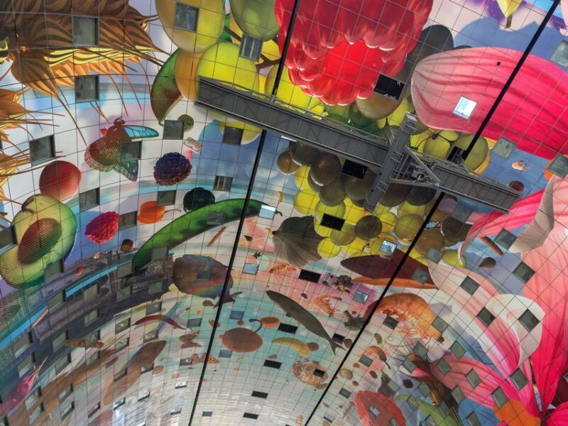 Rotterdam: Architecture Highlights Tour including the Depot - Key Points