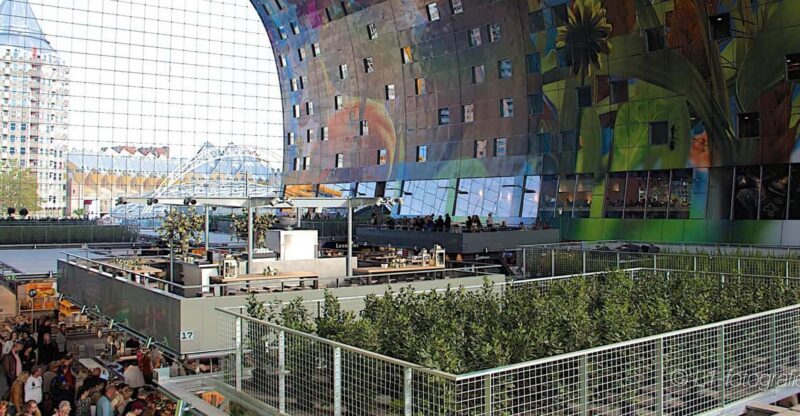 Rotterdam: City Center Walking Tour - What Makes This Tour Stand Out