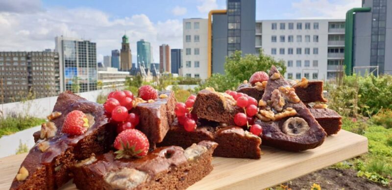 Rotterdam: Food Tour by Bike - An In-Depth Look: What to Expect from the Rotterdam Bike Food Tour