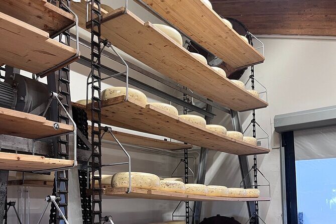 Rotterdam- Kinderdijk -Cheese Farm Experience min 4 max 100 PP - FAQ