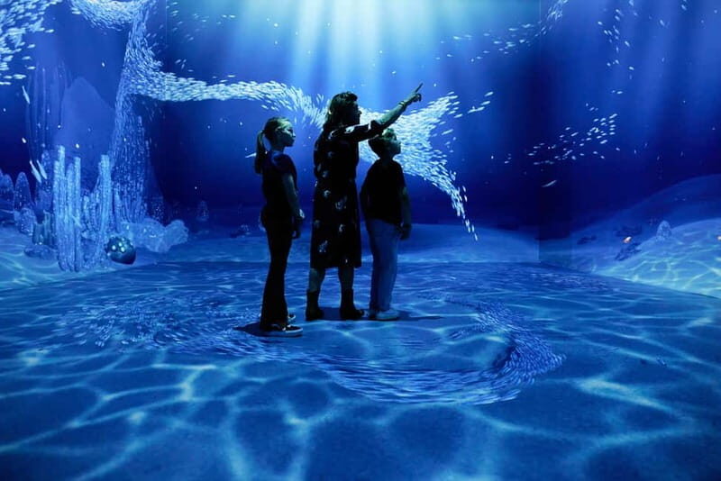 Rotterdam: "Remastered" Digital Art Audiovisual Experience - Who Should Consider This Tour?