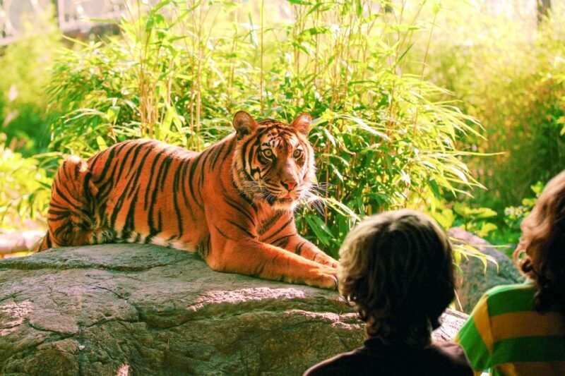 Rotterdam: Rotterdam Zoo Blijdorp Entry Ticket - FAQ