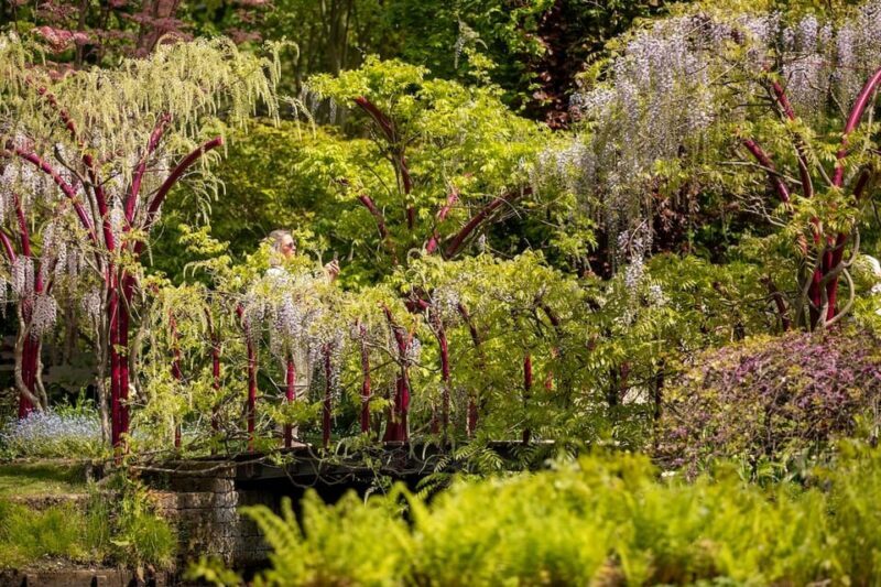 Rotterdam: Trompenburg Botanical Gardens Entry Ticket - The Value of Your Ticket