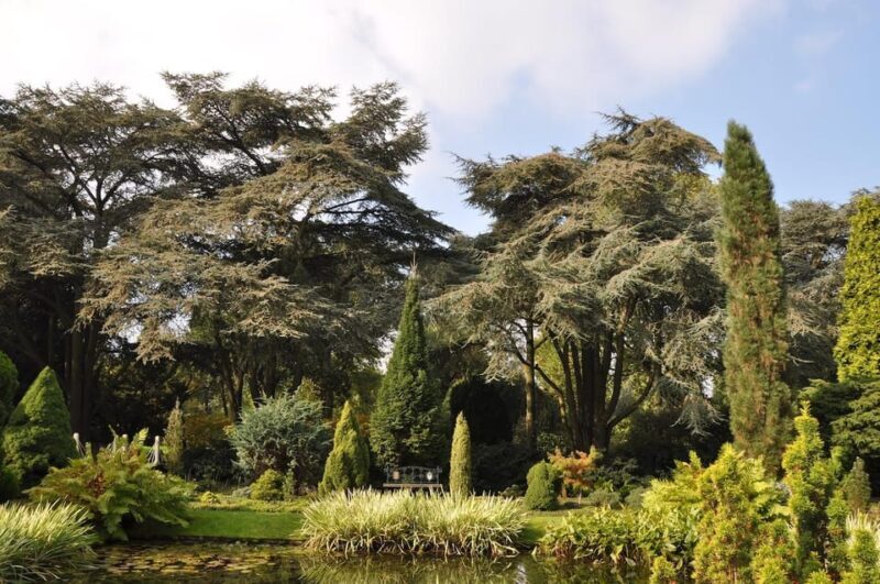 Rotterdam: Trompenburg Botanical Gardens Entry Ticket - FAQ