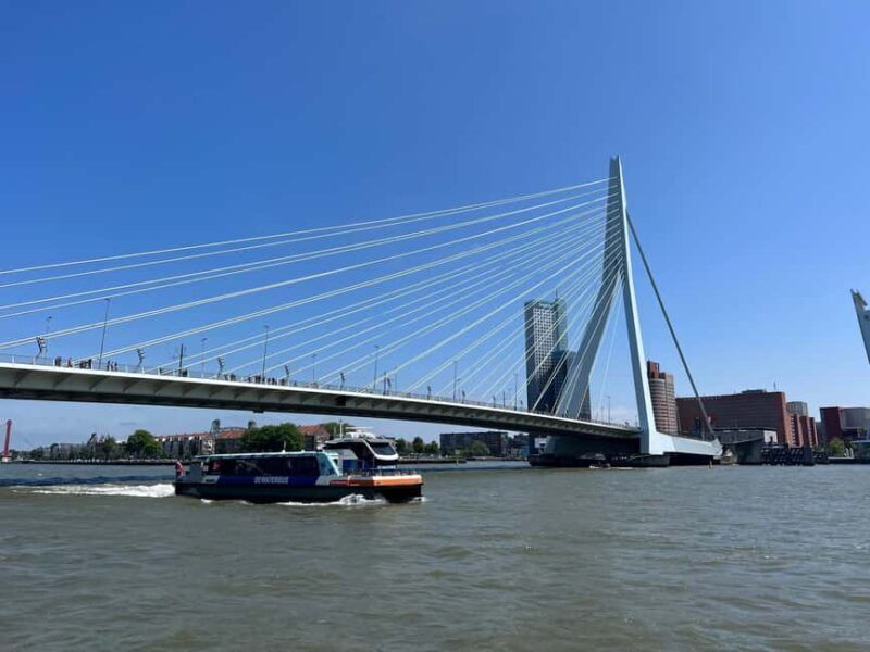 Rotterdam: WaterShuttle Ticket to Kinderdijk - Why the WaterShuttle Experience Stands Out
