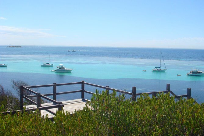 Rottnest Bayseeker Bus Tour from Hillarys Boat Harbour - A Closer Look: The Itinerary