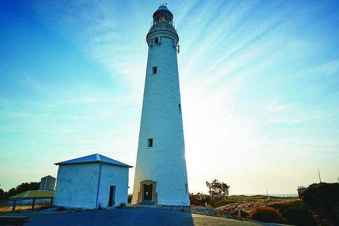 Rottnest Bayseeker Bus Tour from Hillarys Boat Harbour - The Value of This Tour for Different Travelers