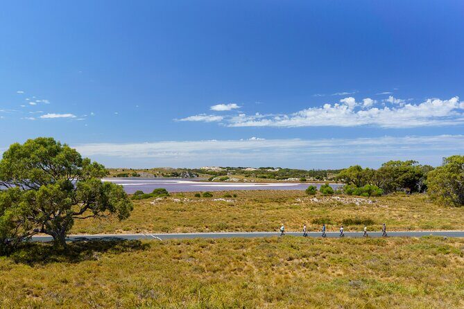 Rottnest Coastal Explorer Tour - An In-Depth Look at the Rottnest Coastal Explorer Tour