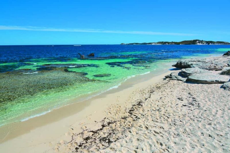 Rottnest Grand Island Package with Ferry, Tour & Light Lunch - Authentic Experiences from Reviewers