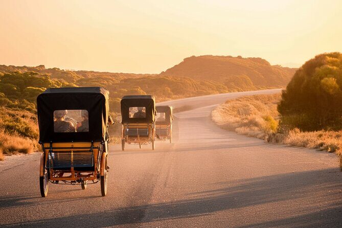 Rottnest Guided 90 Minute Electric Rickshaw Adventure - Who Should Consider This Tour?