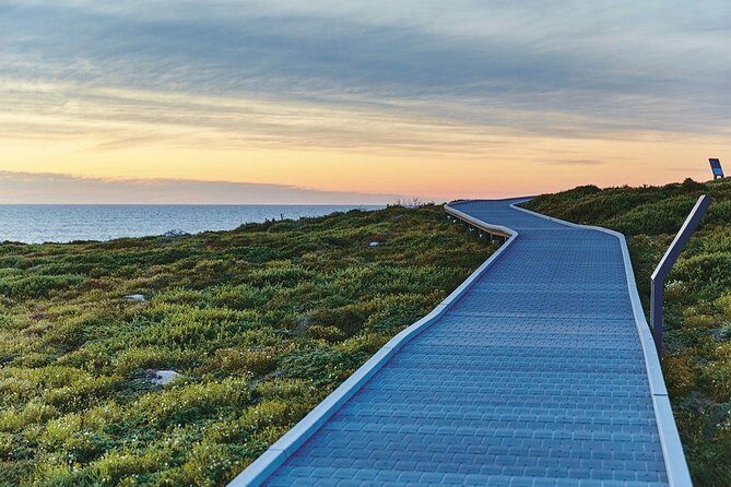 Rottnest Island Bayseeker Day Trip from Fremantle - The Itinerary in Detail