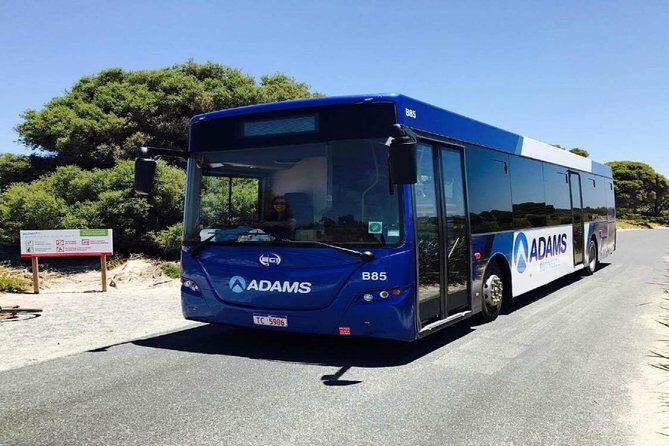 Rottnest Island Bayseeker Day Trip from Perth - A Closer Look at the Rottnest Island Bayseeker Day Trip