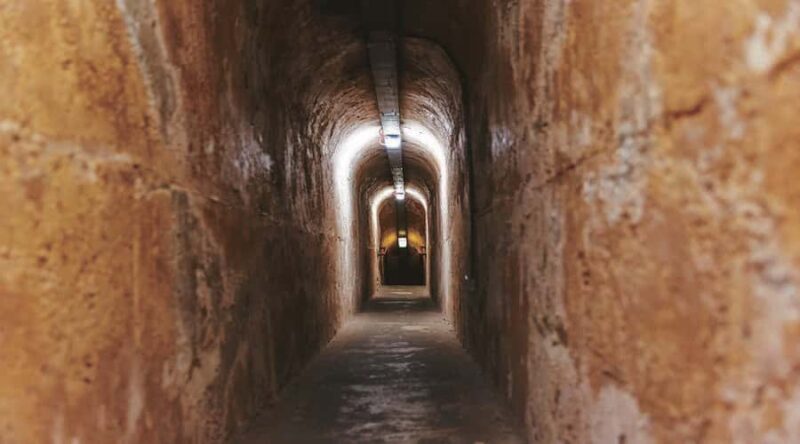 Rottnest Island: Grand Bus and Train Tour with Lunch - The Itinerary – What to Expect on This Rottnest Adventure