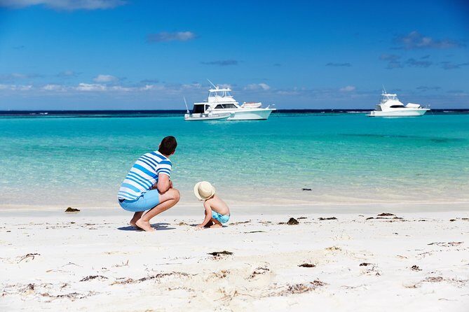 Rottnest Island Grand Tour Including Lunch and Historical Train Ride - The Sum Up: Who Will Love This Tour?