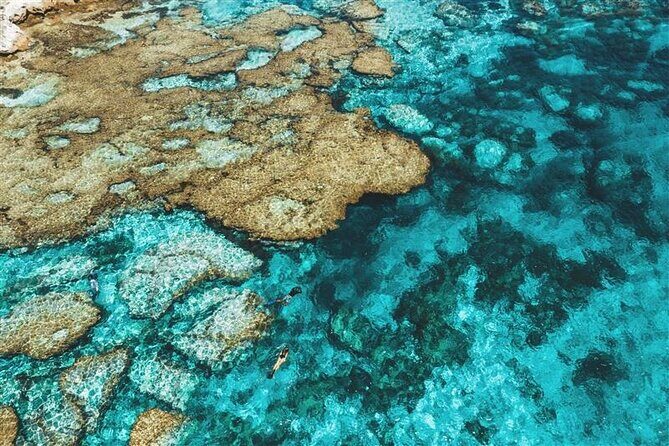 Rottnest Island Round Trip Ferry from Fremantle - An In-Depth Look at the Rottnest Island Round Trip Ferry Experience