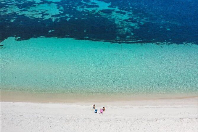 Rottnest Island Round Trip Ferry from Fremantle - Highlights of the Experience