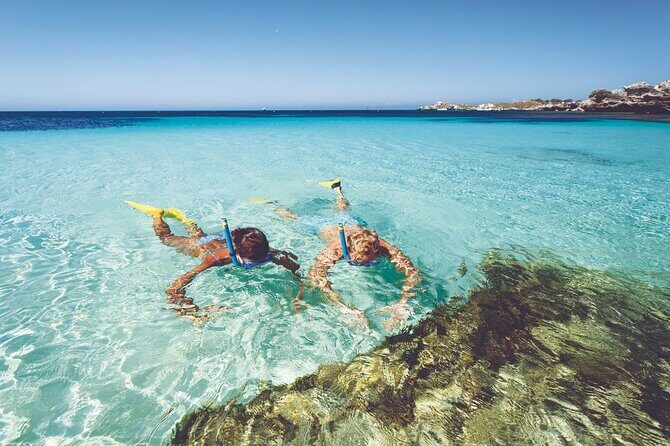 Rottnest Island Round-Trip Ferry from Perth - Key Points