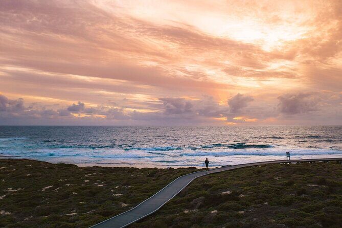 Rottnest Island Seals Sunset and West End Bus Tour - An In-Depth Look at the Itinerary